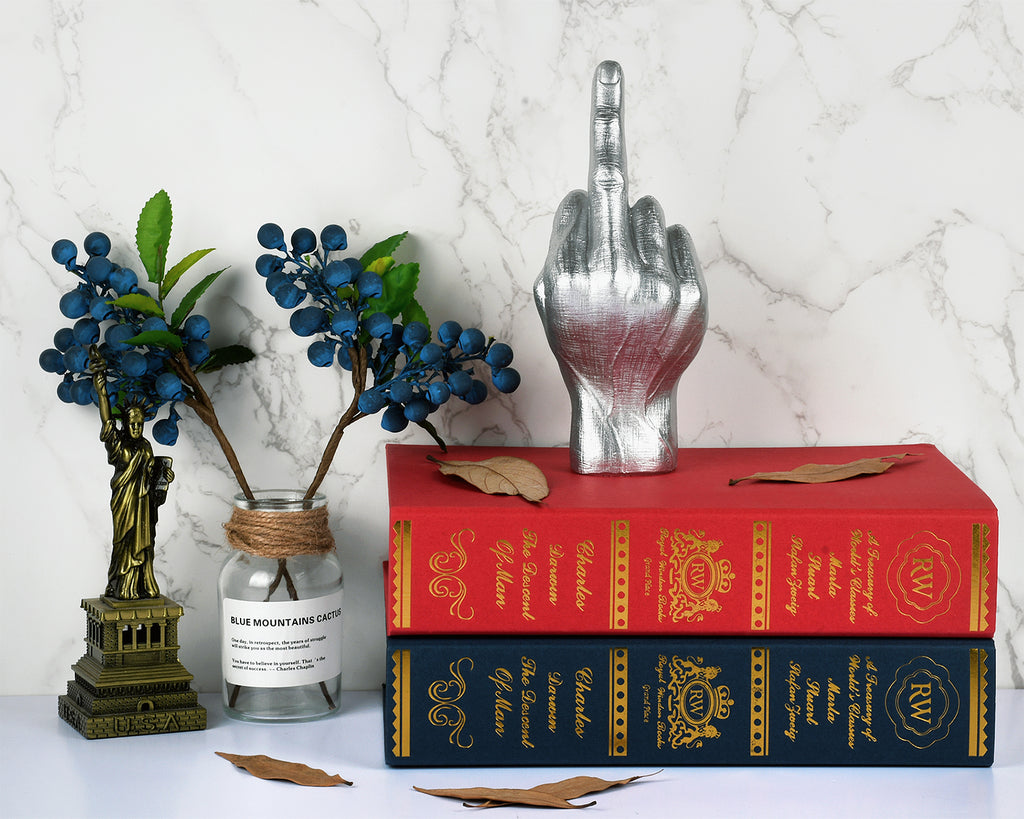 Middle Finger Statue 7.9 Inch Funny Desk Decor – DSStyles (DS ...