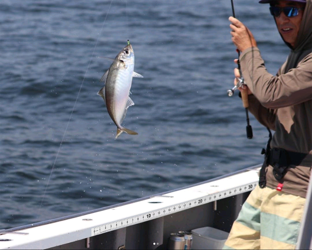 Fish Ruler Sticker 40-Inch Waterproof Adhesive Ruler Tape – DS ...